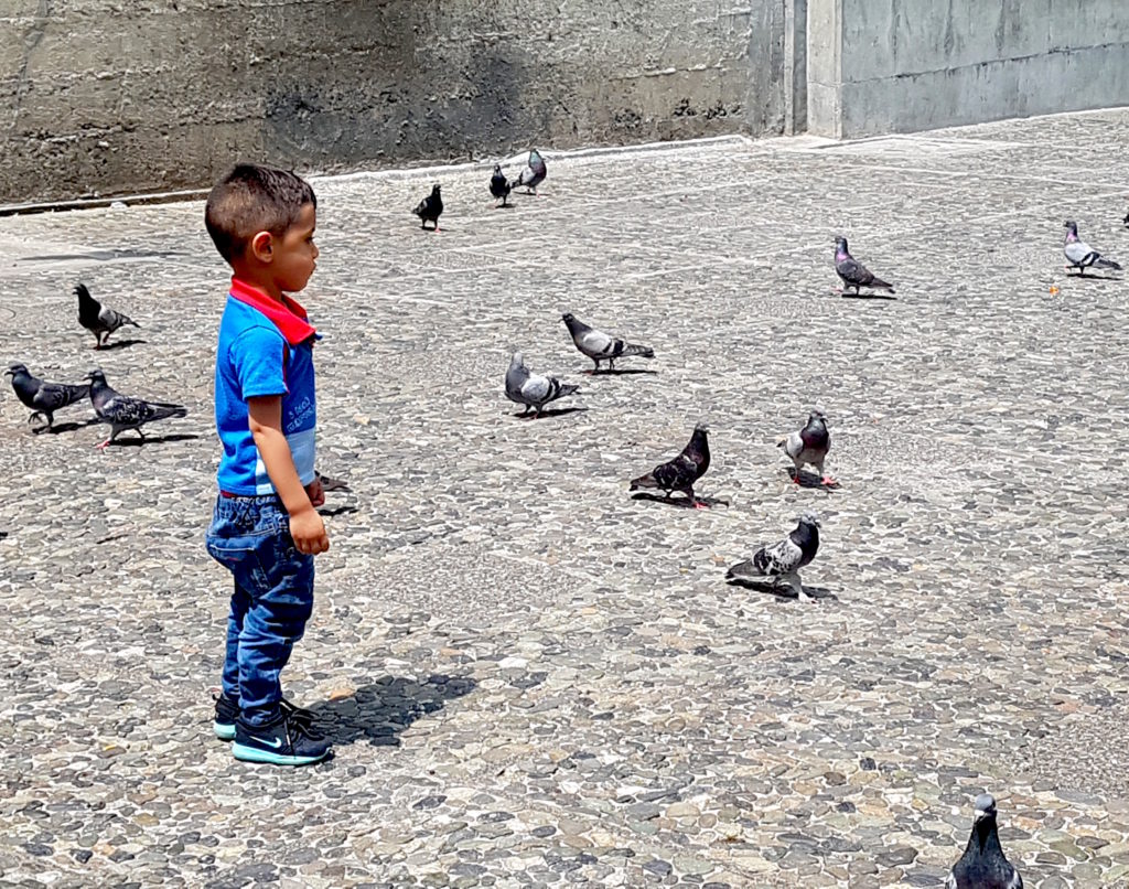 Children flutter like pigeons